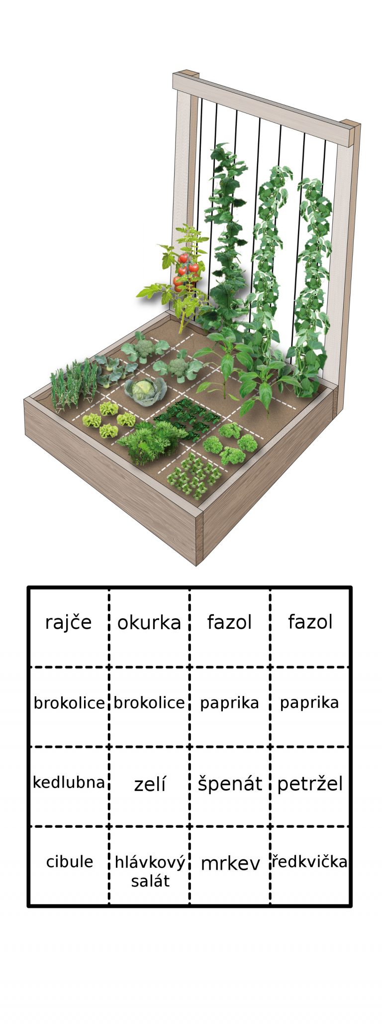 Čtverečková zahrádka | Chatař Chalupář